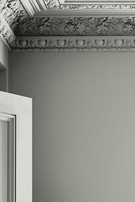 Laura Ashley Sage Leaf Paint – bowerbirds.co.uk